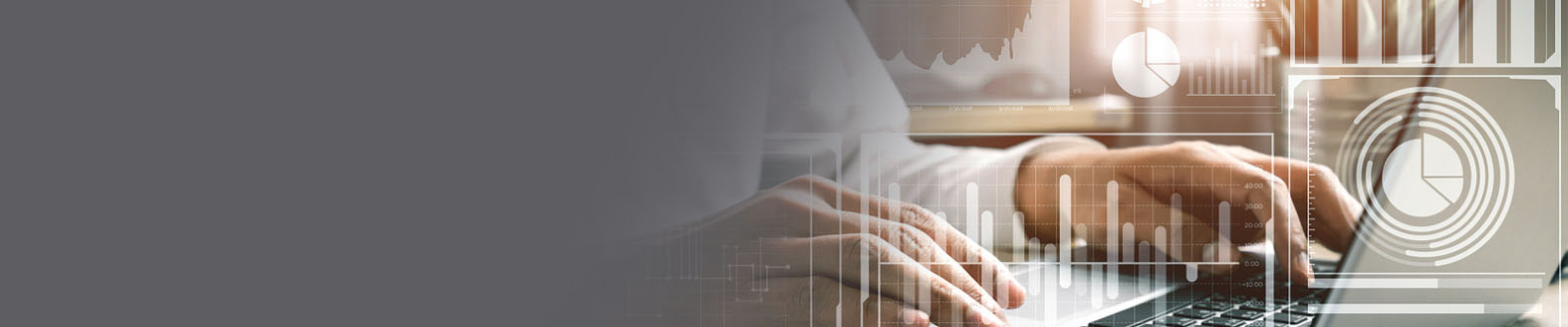 Enterprise Information Management Framework - Xtensible Solutions Enterprise Information Management Framework - Xtensible Solutions